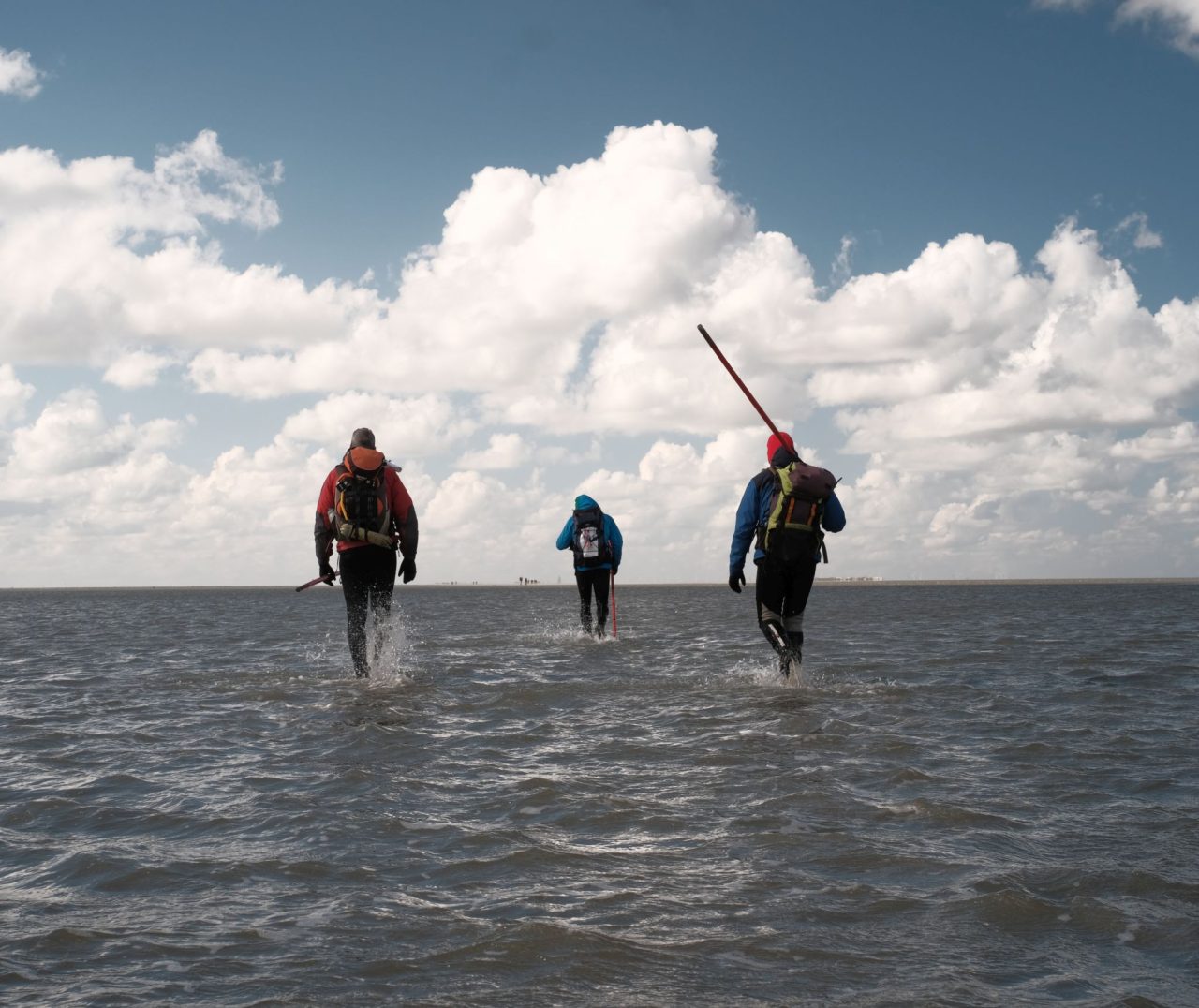 Wadlopen naar Rottumeroog - Stichting Wadloopcentrum Pieterburen