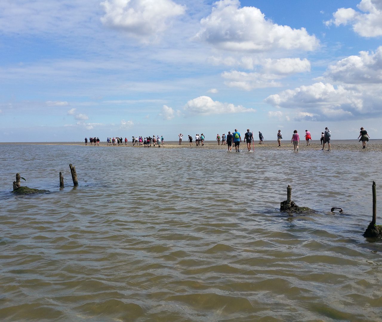 Wadloopcentrum Pieterburen - Al meer dan 50 jaar wadlopen op het wad