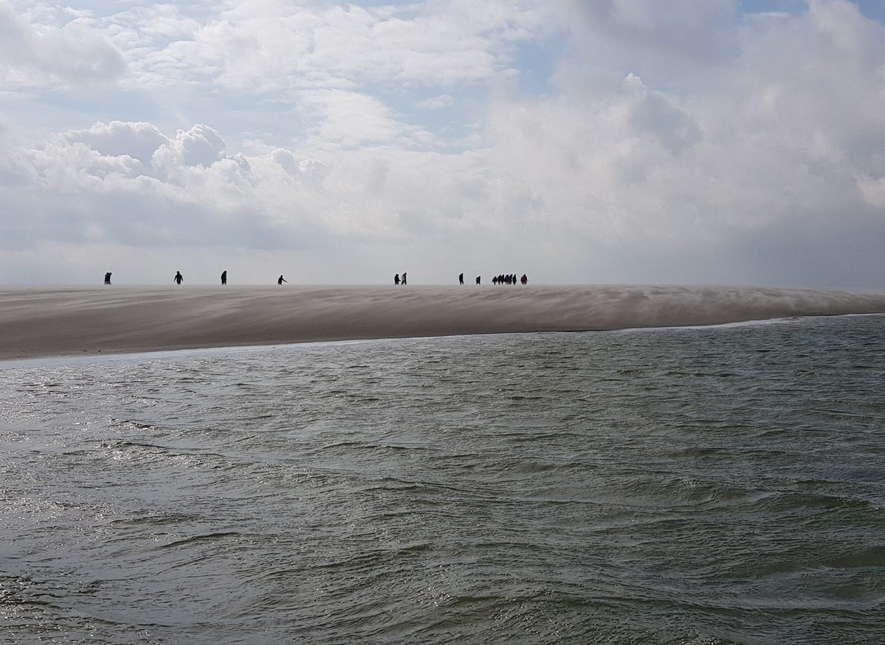 Wadloopcentrum Pieterburen - Al 50 jaar wadlopen op het wad