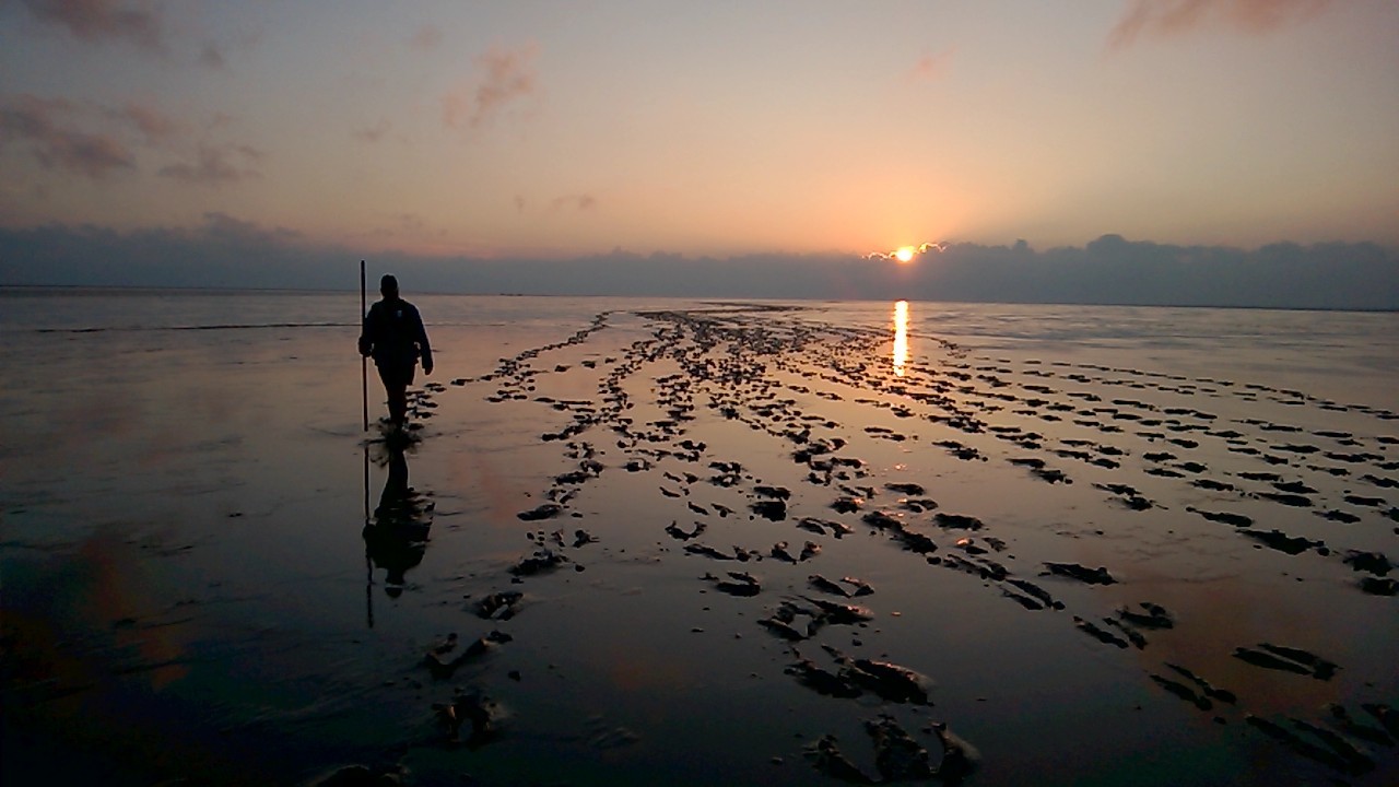 Wadloopcentrum Pieterburen - Al 60 jaar ervaring met wadlopen!