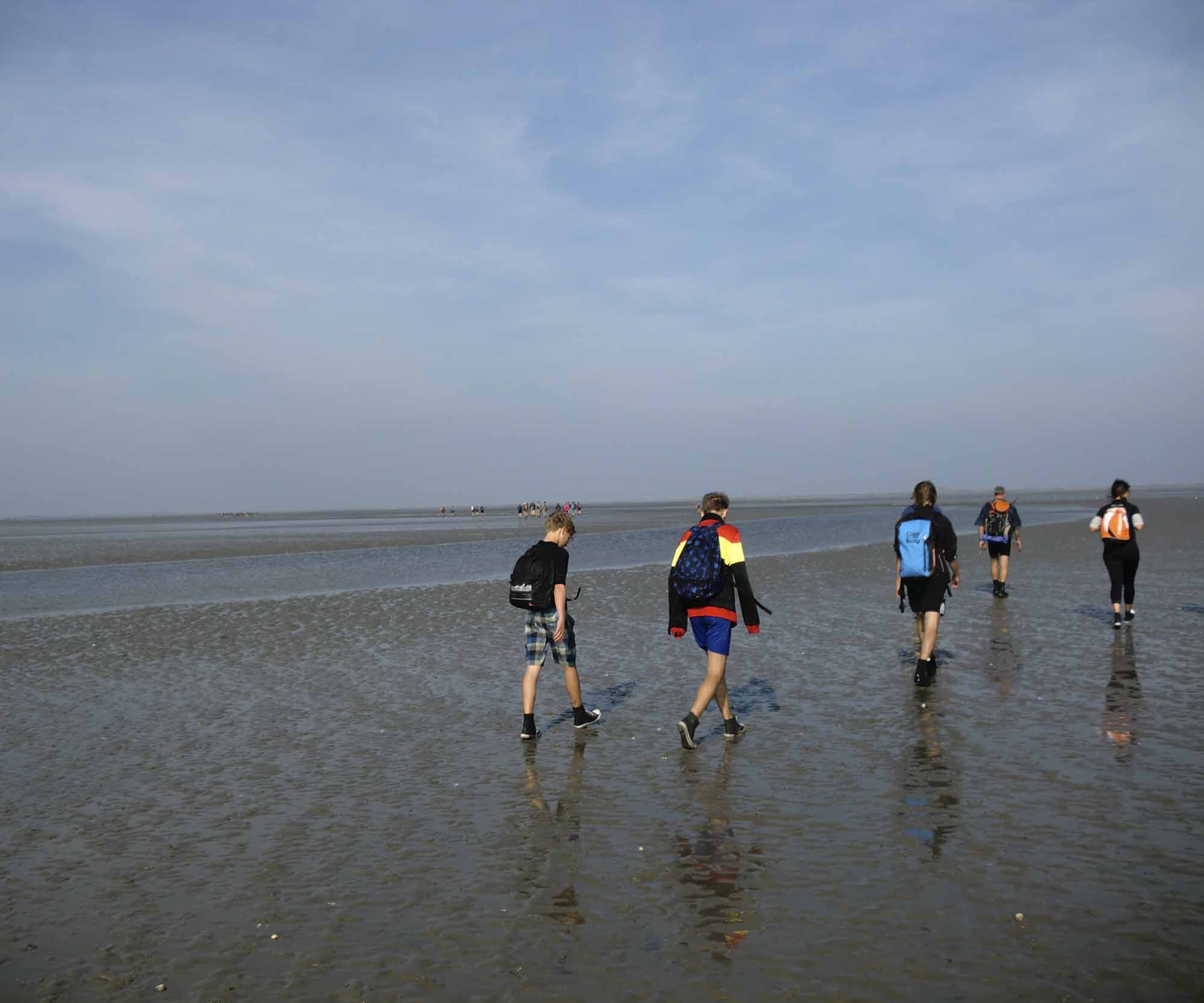 Wadloopcentrum Pieterburen – Al 60 jaar ervaring met wadlopen ...