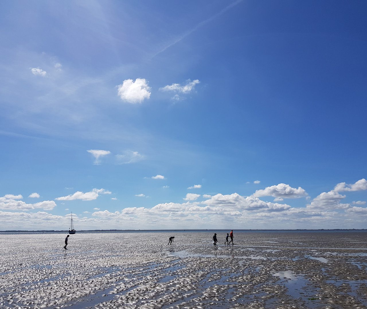 Wadloopcentrum Pieterburen - Al 60 jaar ervaring met wadlopen!