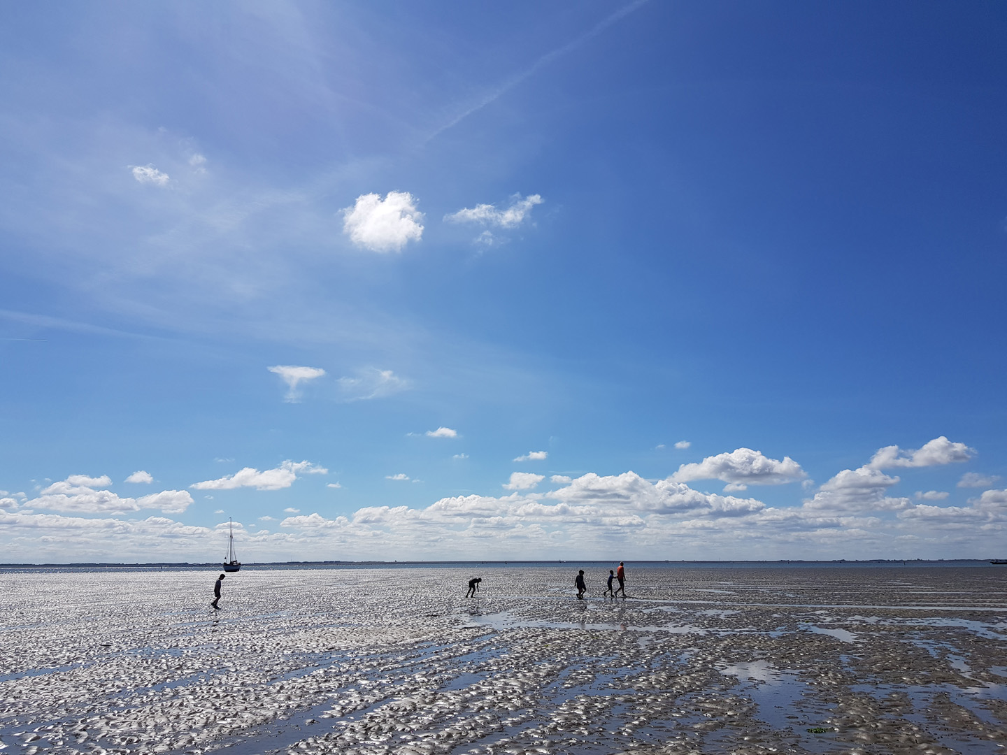 Wadloopcentrum Pieterburen - Al 60 jaar ervaring met wadlopen!