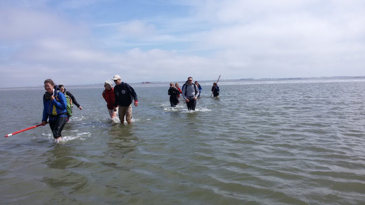 Wadlopen naar Rottumeroog - Stichting Wadloopcentrum Pieterburen