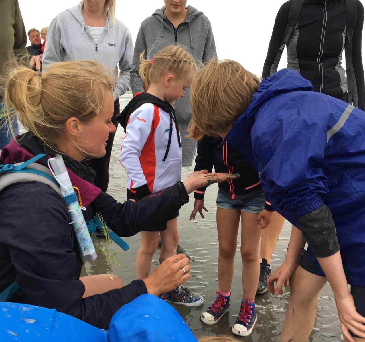 Wadloopcentrum Pieterburen - Al 60 jaar ervaring met wadlopen!