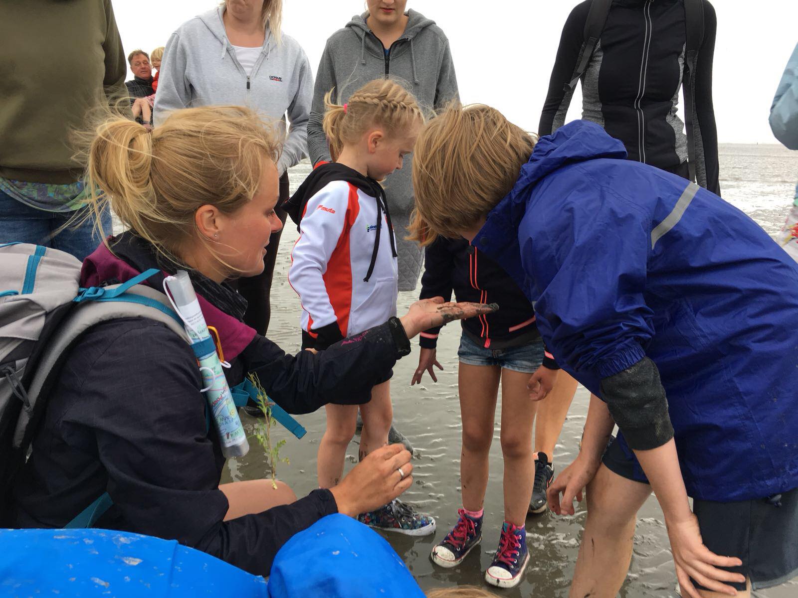 Wadloopcentrum Pieterburen - Al 60 jaar ervaring met wadlopen!