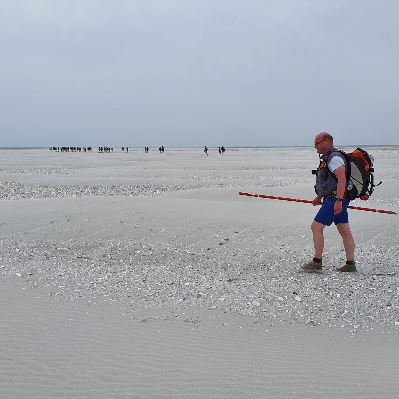 Wadloopcentrum Pieterburen - Al 60 jaar ervaring met wadlopen!